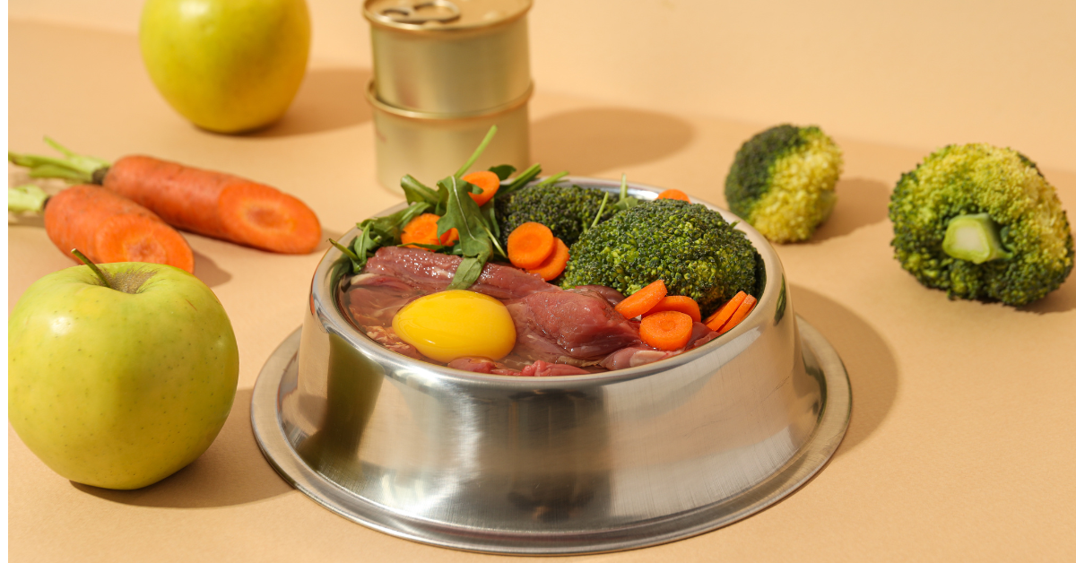 Personalized Food for Your Pet: Benefits and How It Works – NutriPetPlan